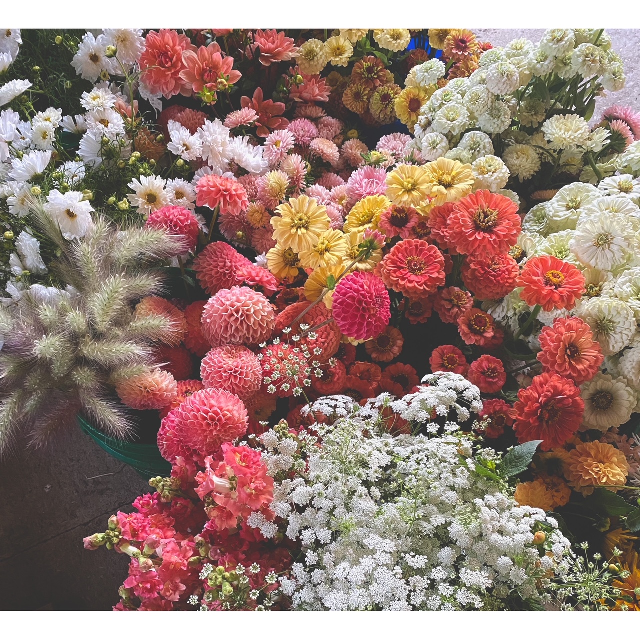 Special Orders - Flower Farm in Erin, Ontario. Wedding Florist ...